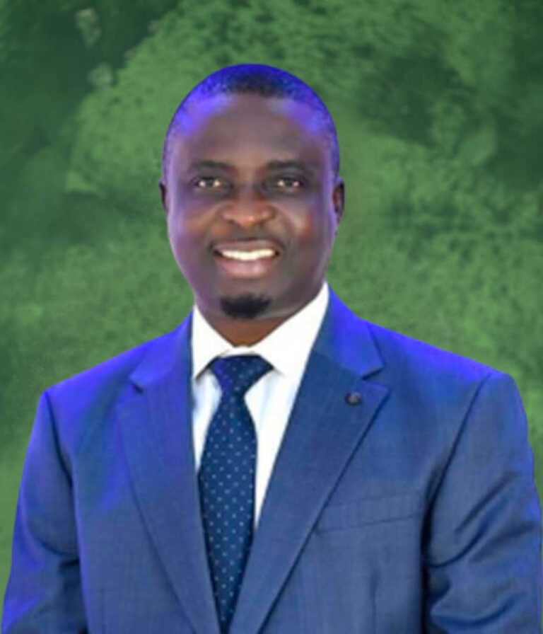 Board of Directors - Cedrus